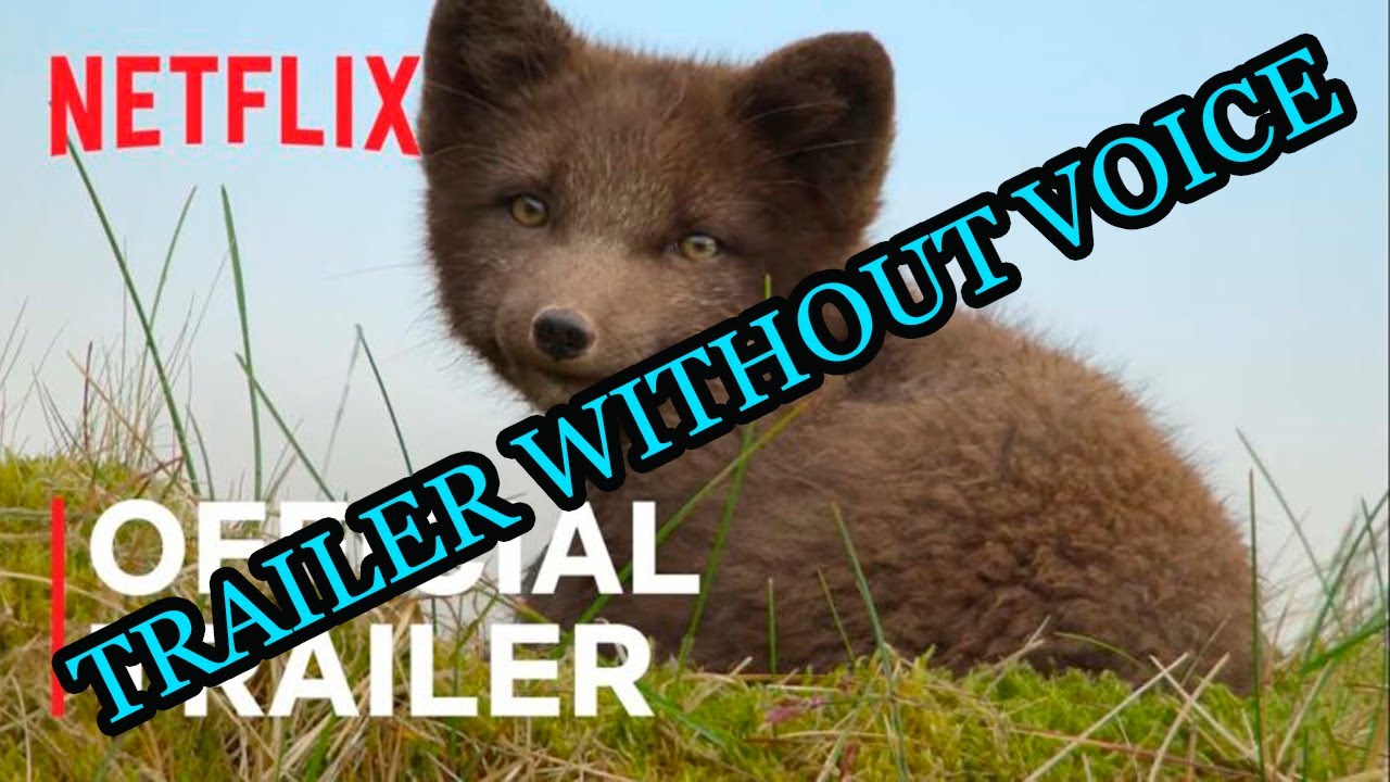 Wild Babies | Official Trailer | Netflix | Without Voice - YouTube