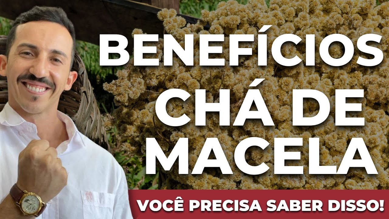 Benefícios do Chá de Macela | Nutri Rodrigo Moreira - YouTube