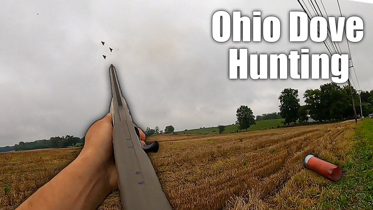 Dove Hunting Ohio || 2022 Opening Weekend - YouTube