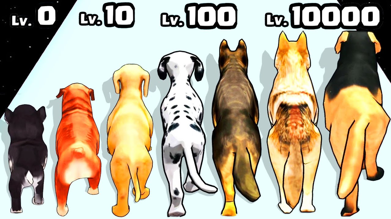Dog Evolution Run - Level Up Spider Max Level Gameplay (Dog Merge ...