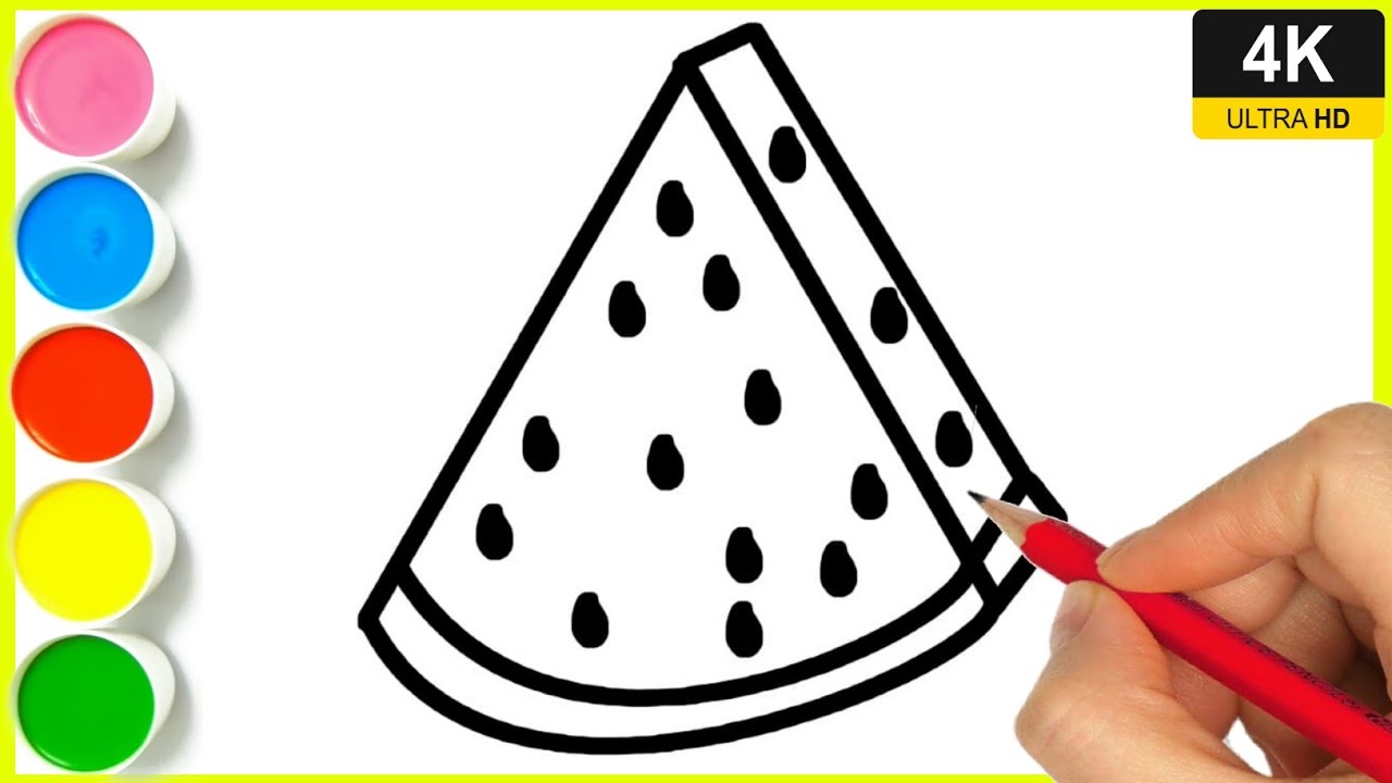 Watermelon drawing step by step || tarbuj drawing in summer season ...