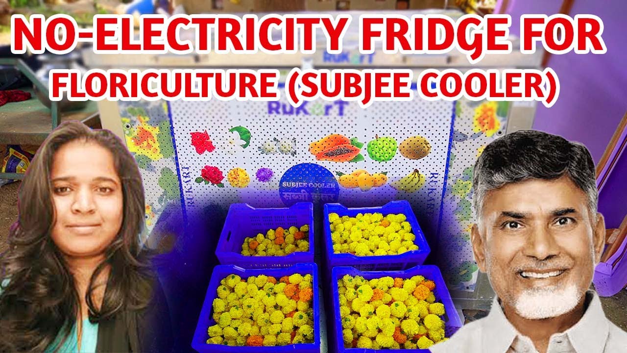 No - Electricity Fridge For Floriculture | Subjee Cooler | Country ...
