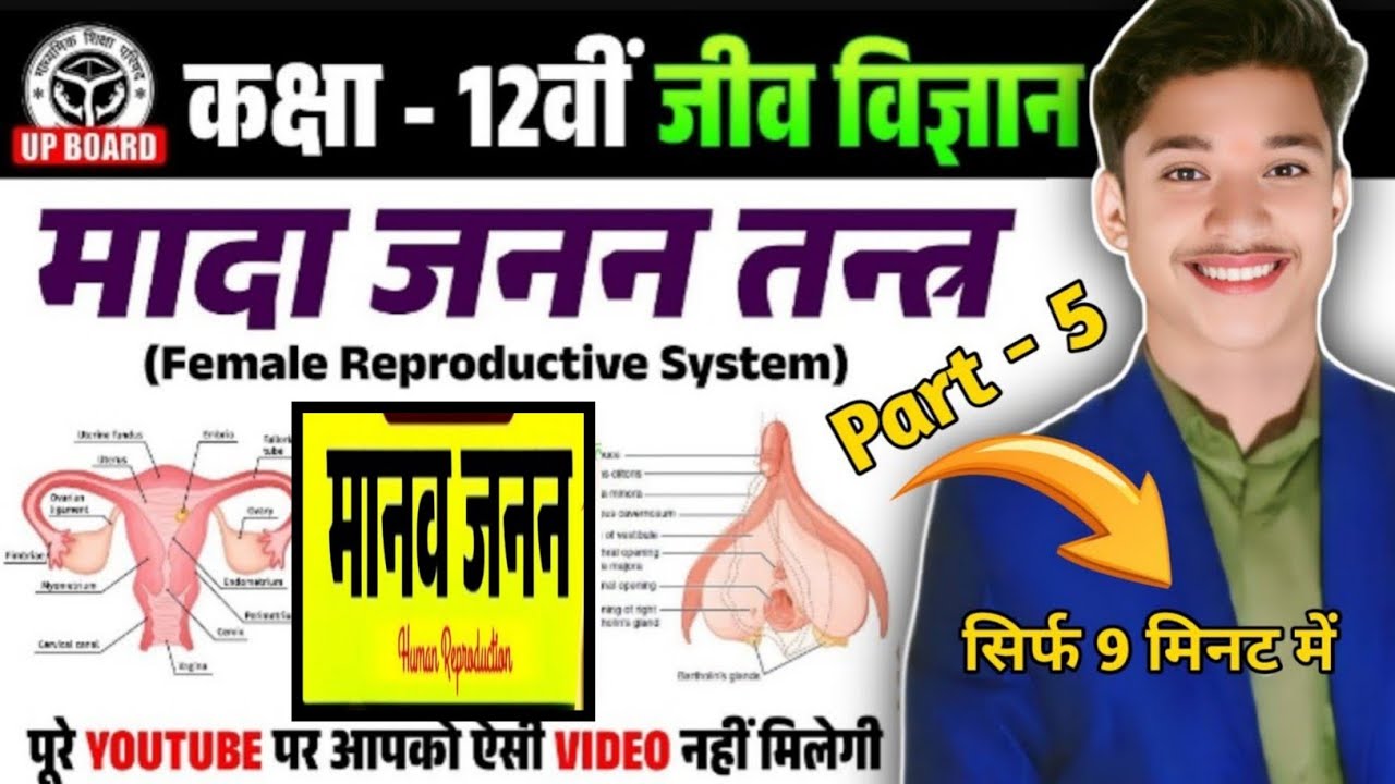 मानव जनन | Human Reproduction part 3 | Class 12 Biology | mada janan ...
