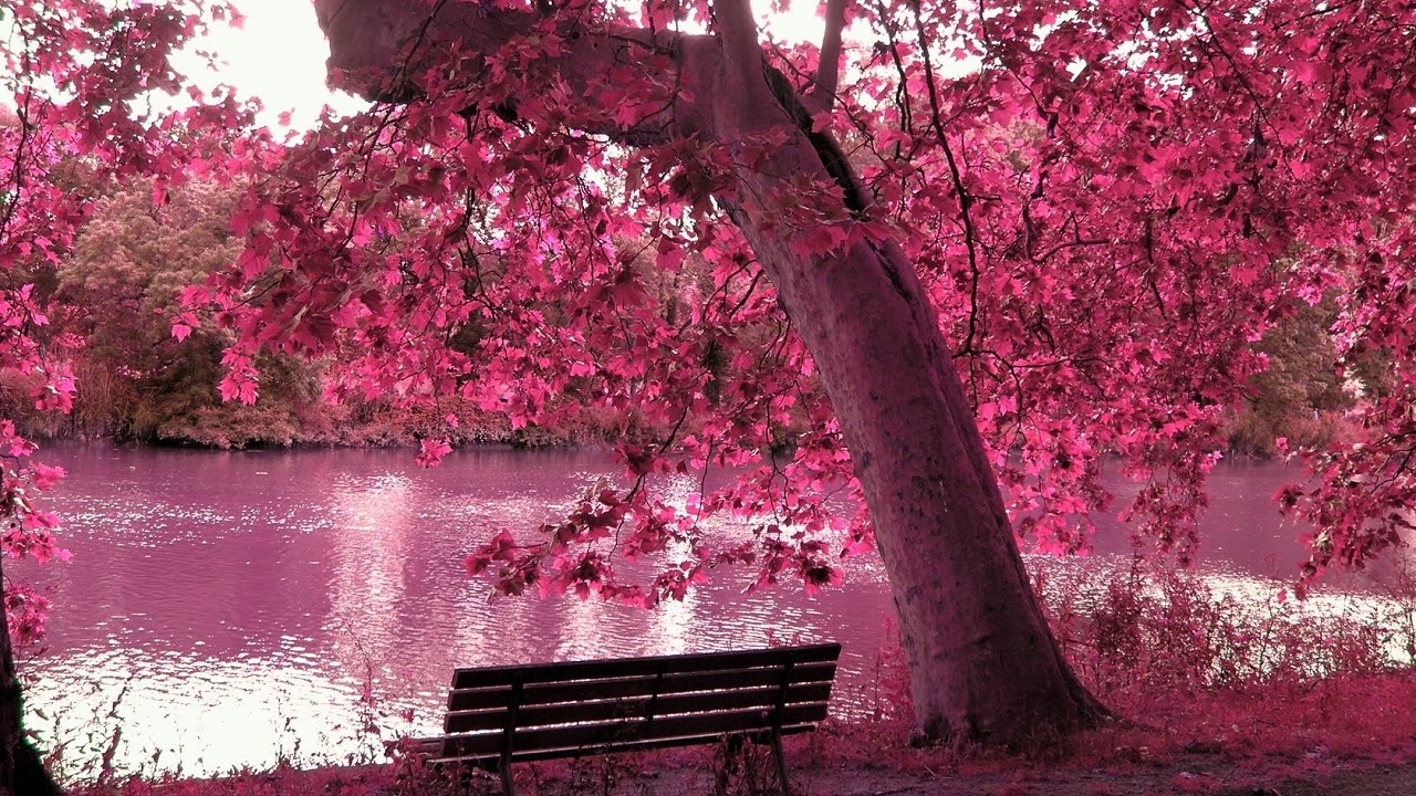 Vivaldi - Violin Concerto in E, "Spring" - Michel Schwalbé - YouTube