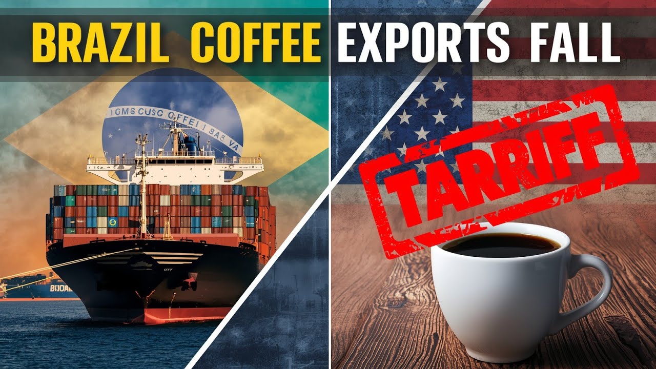 Brazil Coffee Exports to US Fall | Tariffs Threaten Global Coffee Trade ...