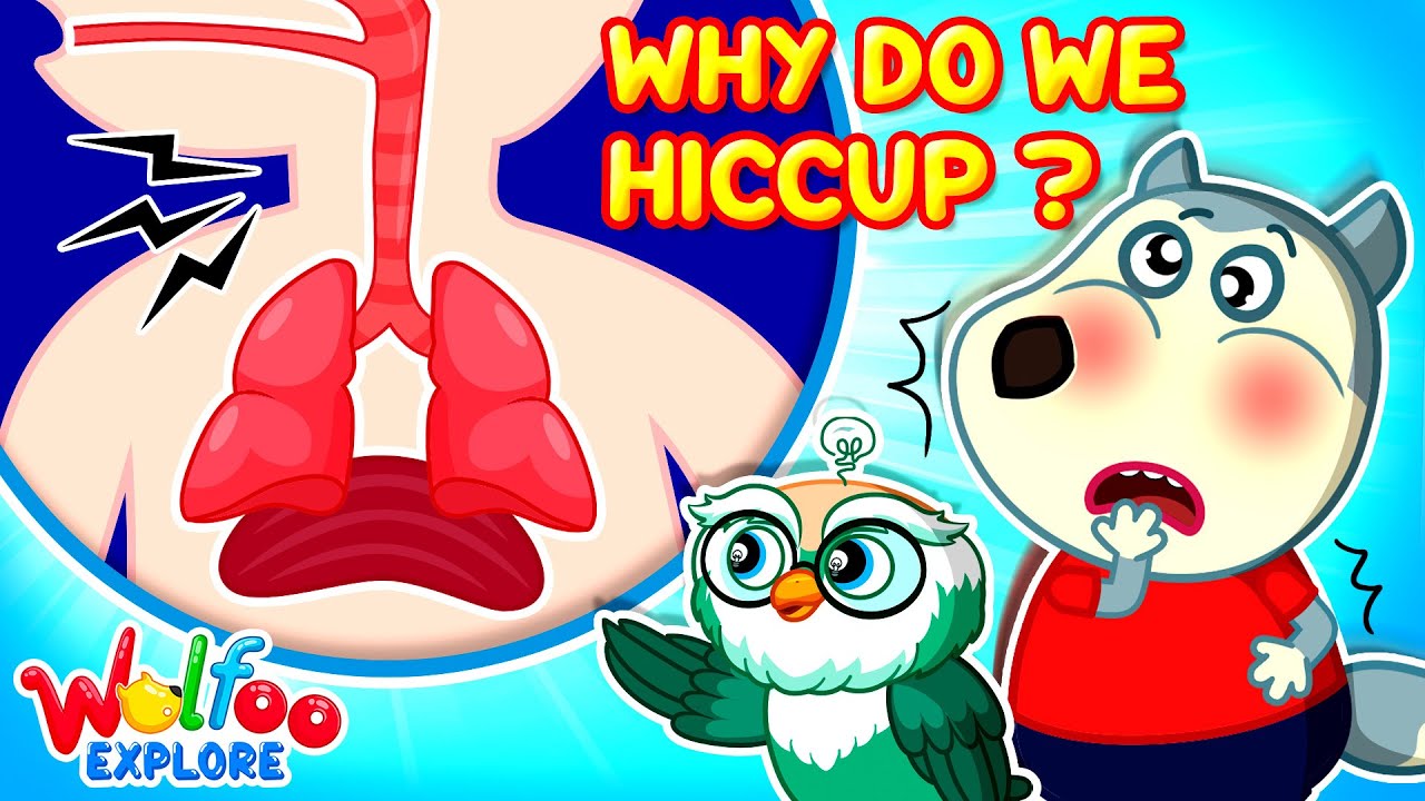 Why Do We Hiccup? 🤔| 🔍 Wolfoo Explore - Human Body | Educational Videos ...