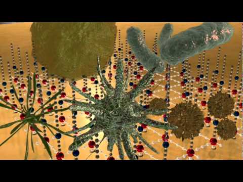 Shield - Antimicrobial Agent Video - YouTube