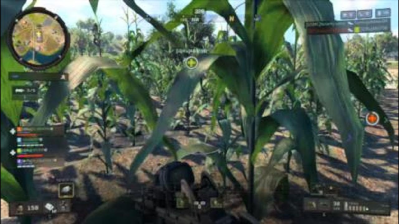Blackout cornfield fight ☠️🌽🌽 - YouTube
