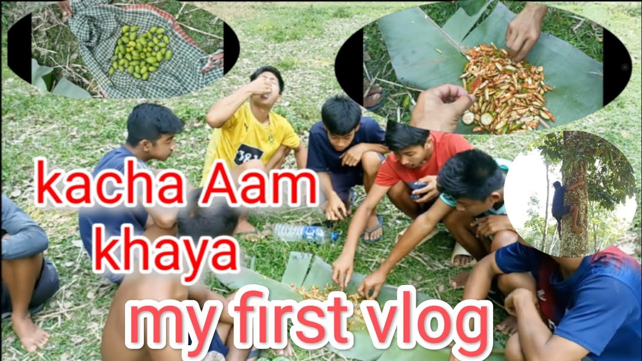 Dosto kesath aam khane gaya || dosto kesath aam khana chahiye || nry mls vlog - YouTube