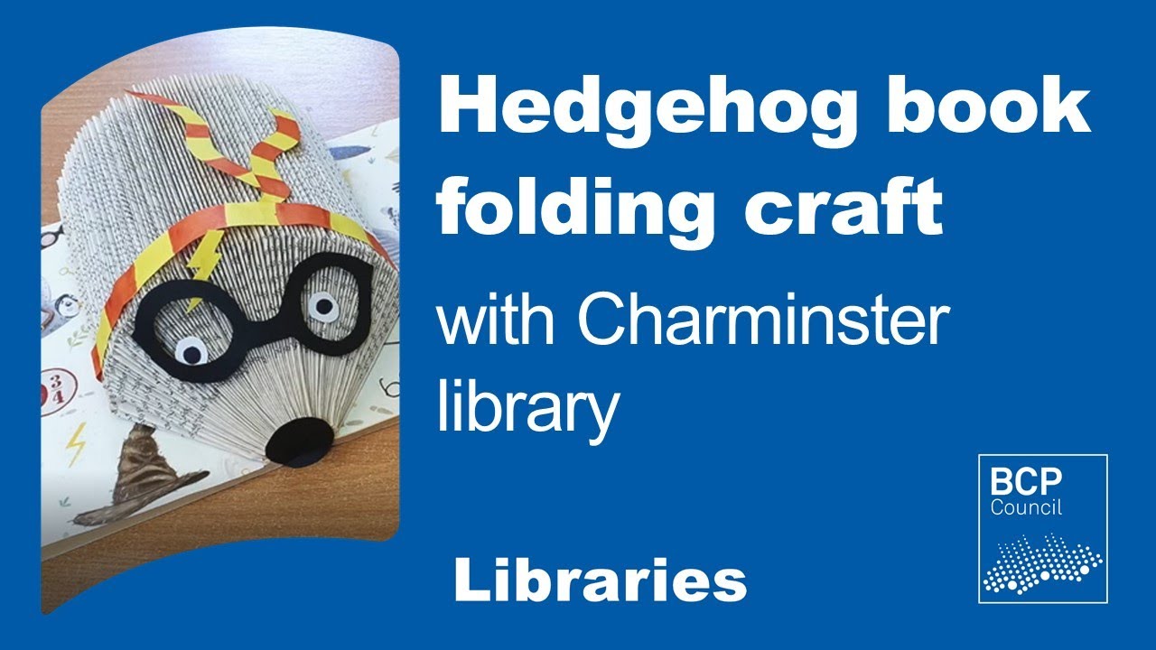 Hedgehog Book Folding Craft with Charminster Library - YouTube