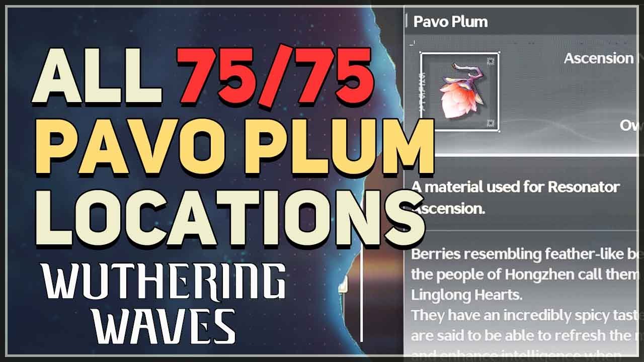 All 75 Pavo Plum Locations Wuthering Waves - YouTube