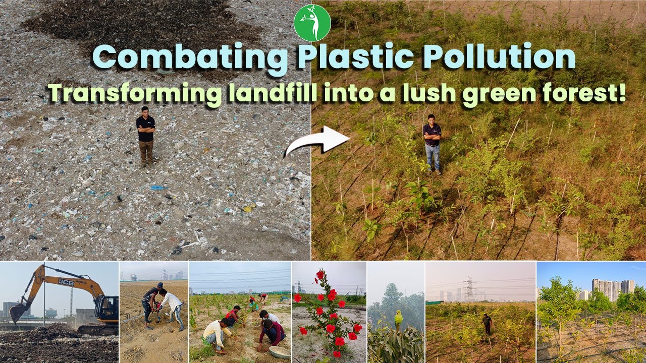 Combating Plastic Pollution- Transforming Landfill into a Lush Green ...