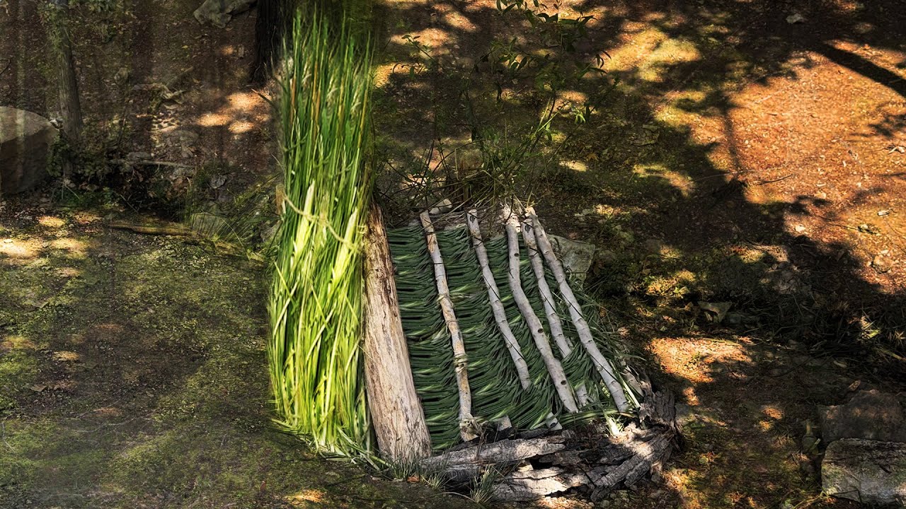 Master Treehouse Builder Shares Secret Hut Construction Techniques ...