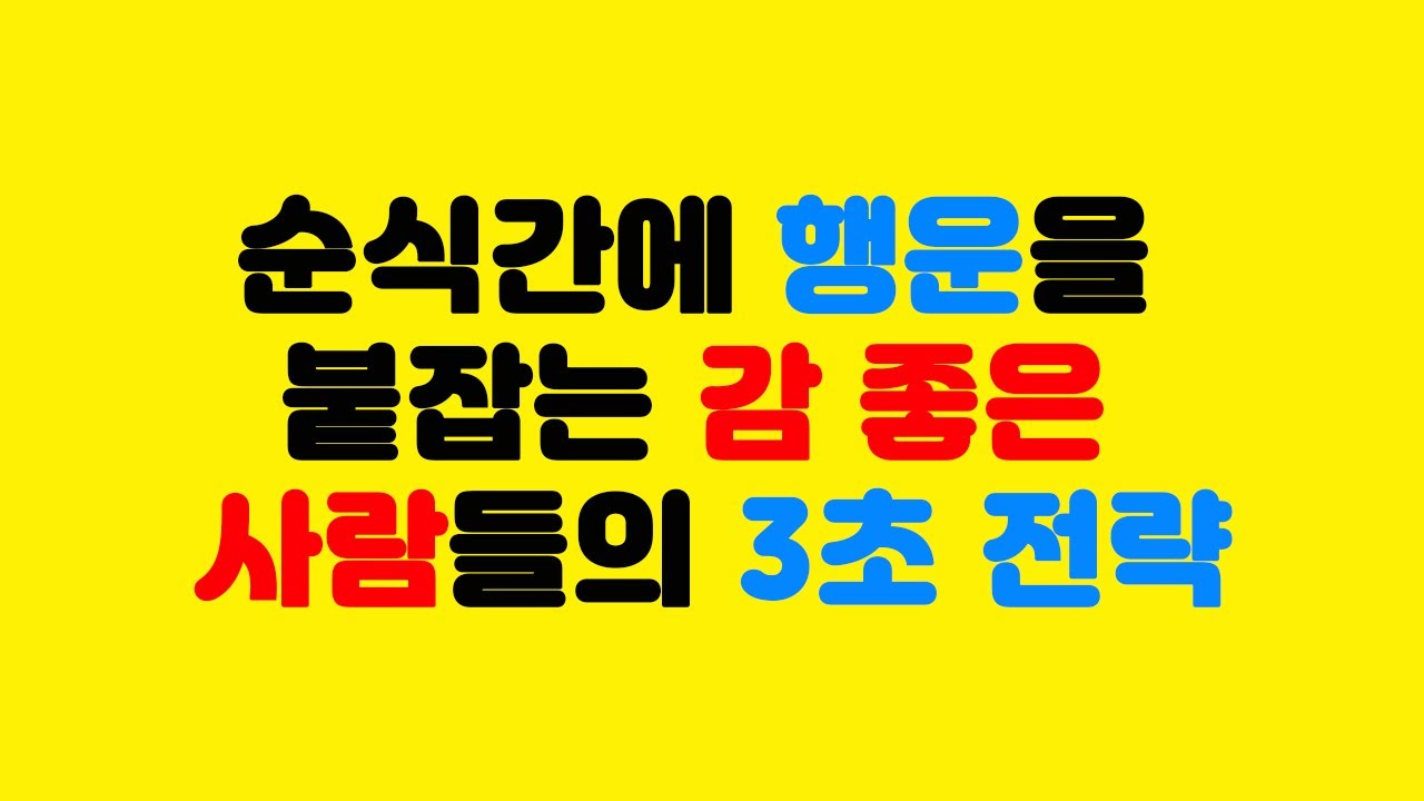 쑤기서점 촉이 좋은 사람은 뭐가 다를까 Youtube