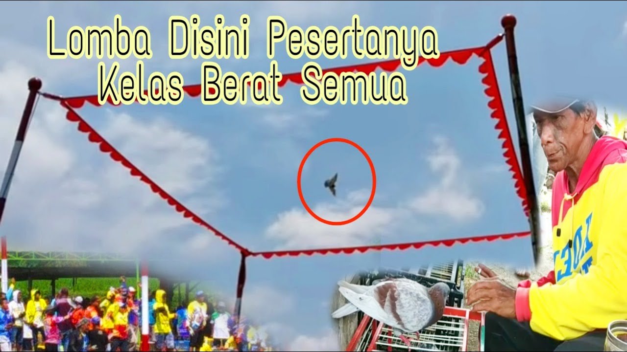 Lomba Merpati Kolong Magelang Lapak Mban Ombo Rambeanak Mungkid - YouTube