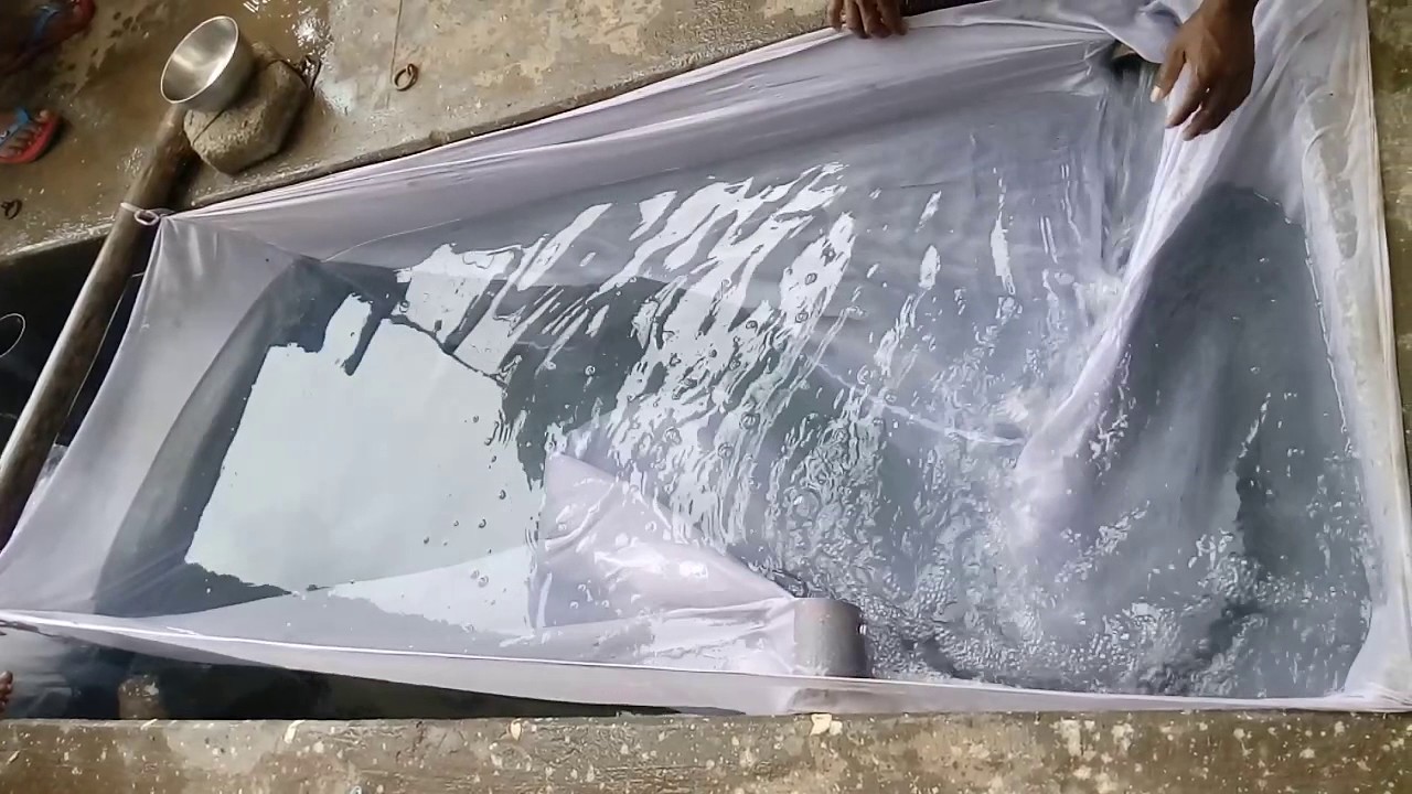Packaging and transportation of fish seed ...... - YouTube