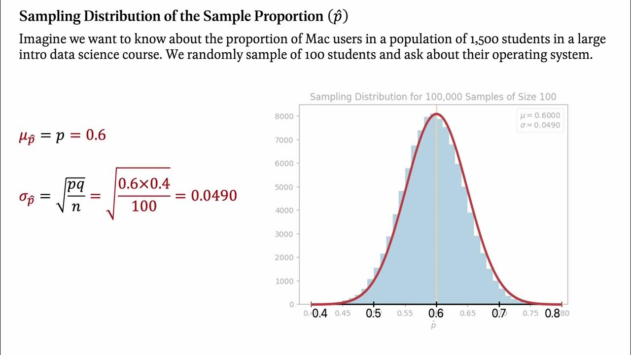 Understanding the Sampling Distribution of a Sample Proportion - YouTube