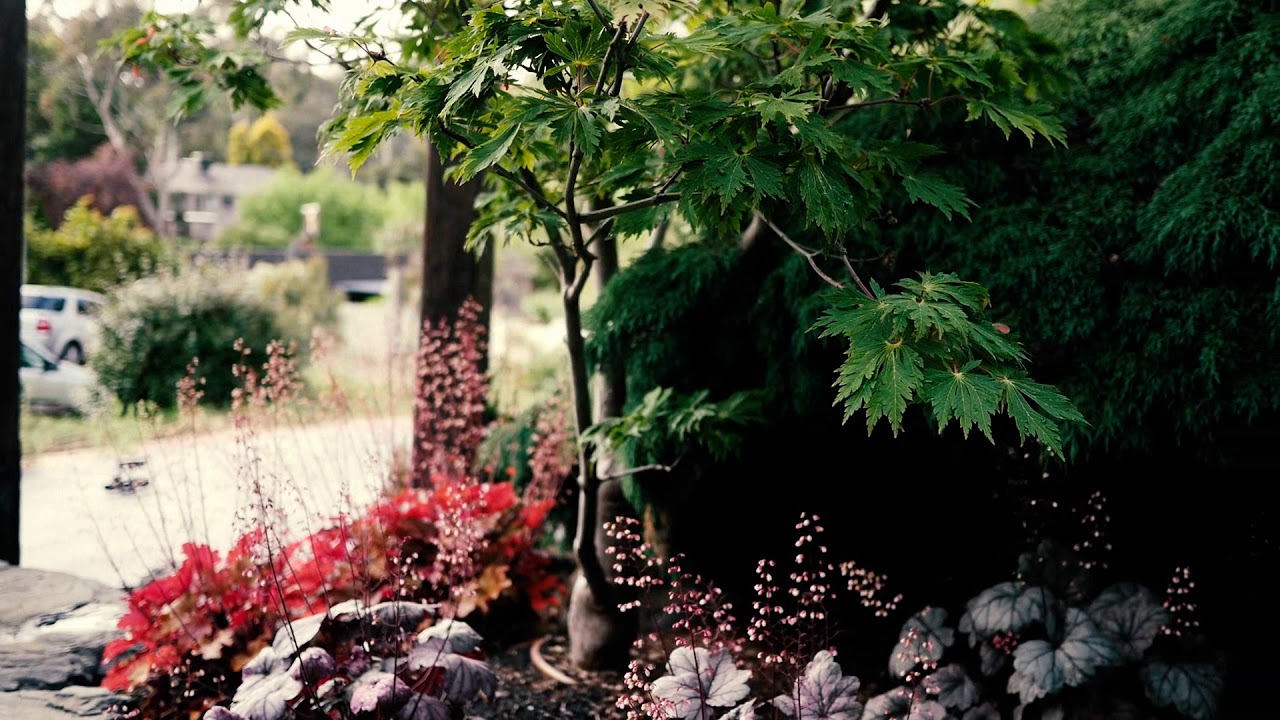 Ross Uebergang Landscape Design Channel Intro - YouTube