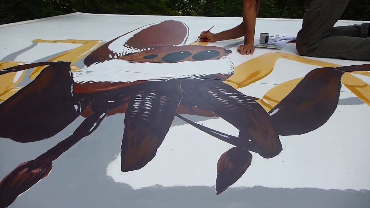 jumping spider mural - YouTube