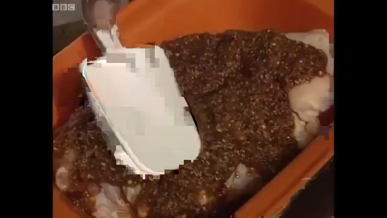 Hehe boi original scene - YouTube