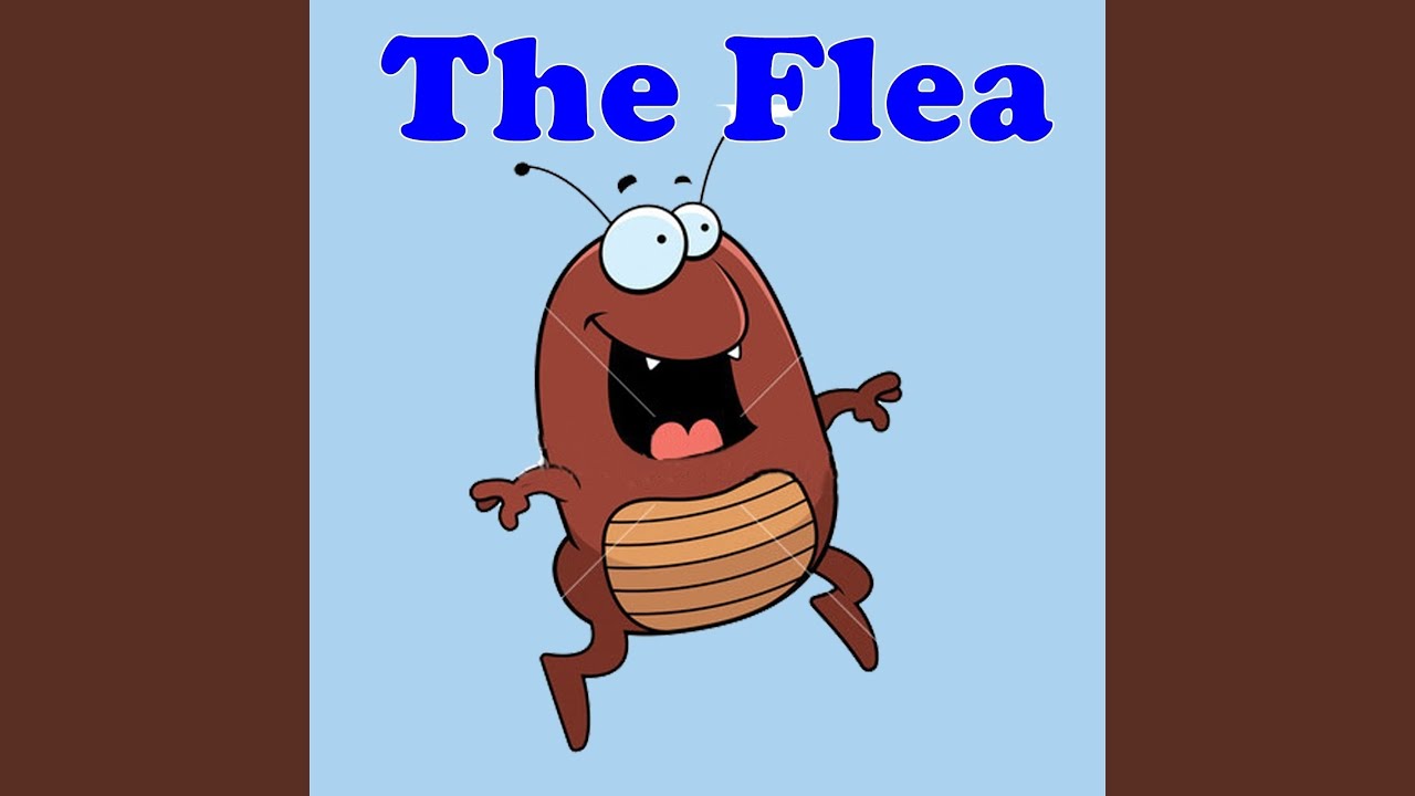 The Flea - YouTube