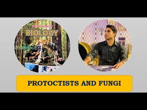 Protoctists and Fungi | Lecture 2 | Ulva | Reproduction in Ulva ...