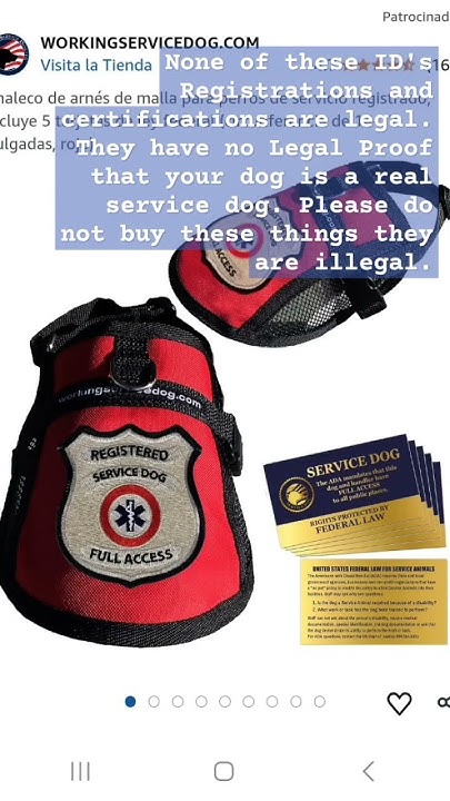 Please do not buy these things just to bring your pet out Into not pet ...