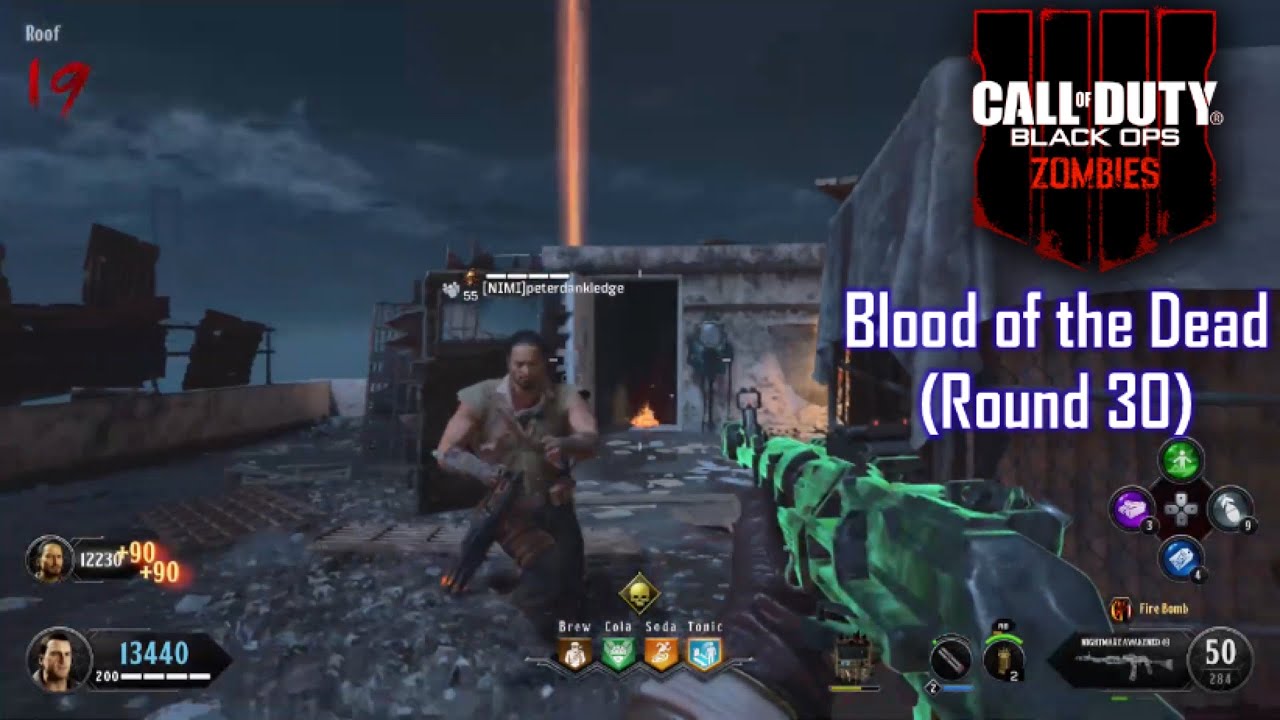 Call of Duty Zombies: Blood of the Dead (Round 30) - YouTube