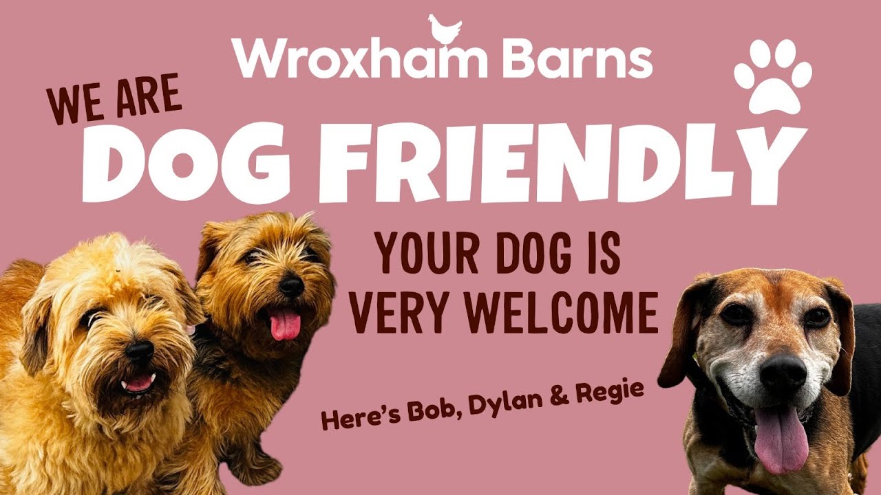 Bringing your dog to Wroxham Barns... - YouTube