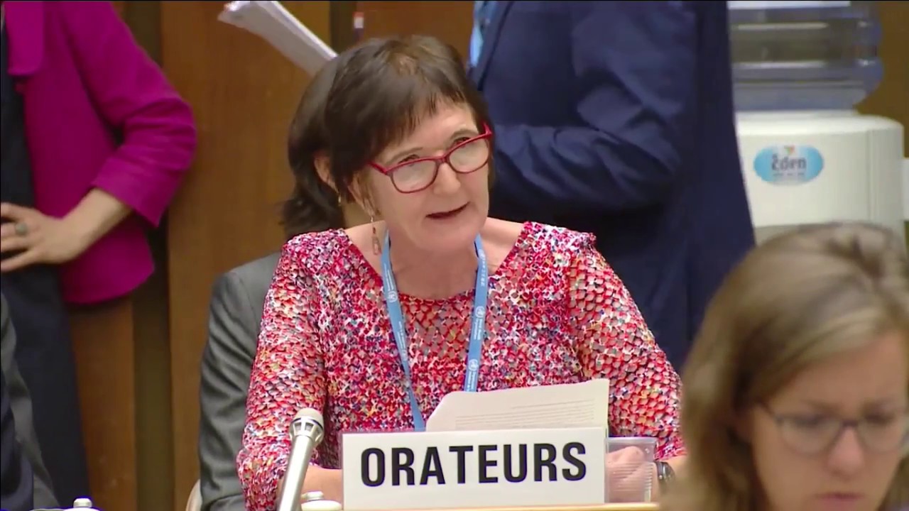 WFSA statement on GPW13 (WHA 2018) - YouTube