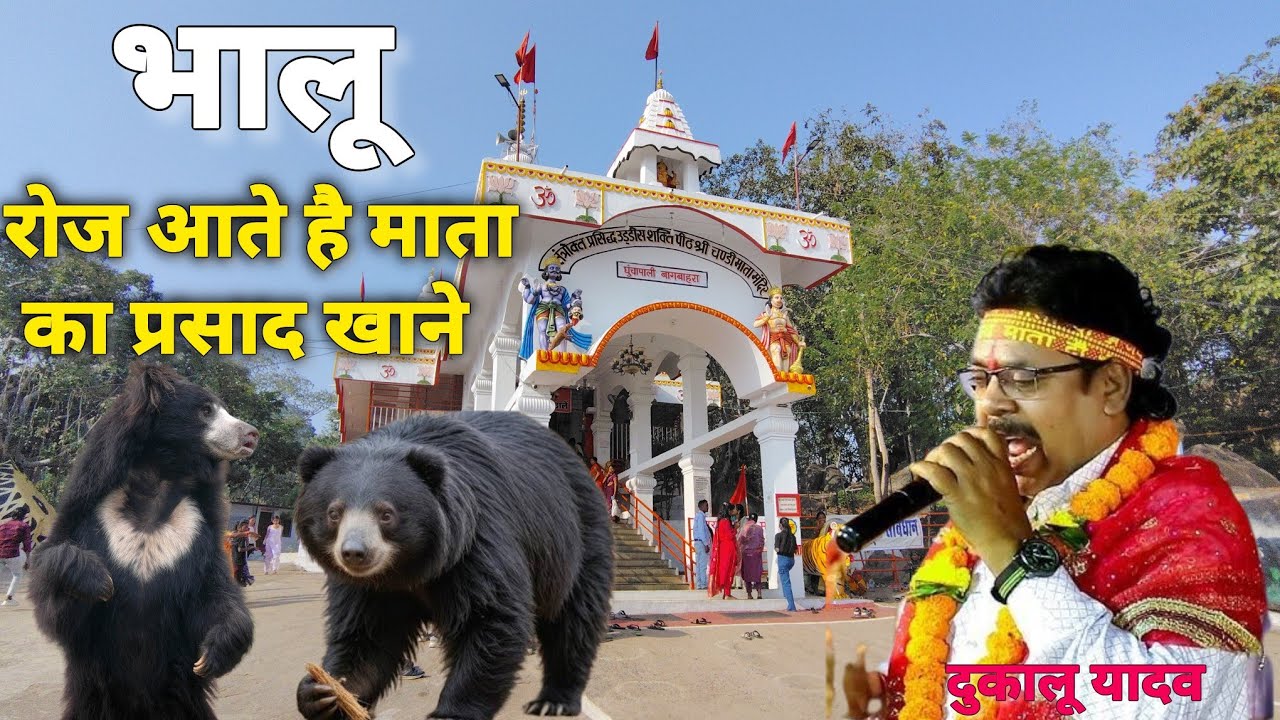 Chandi Mata Mandir - Bear Tample। Bagbahara Mahasamund Chhattisgarh ...