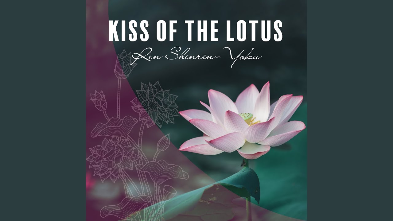 Kiss of the Lotus - YouTube