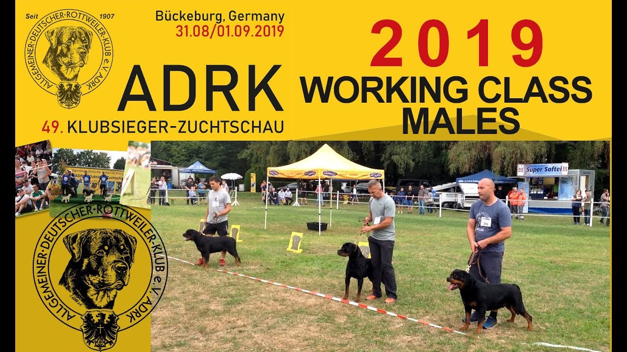 ADRK Klubsieger Show 2019 - Working Class Males - YouTube