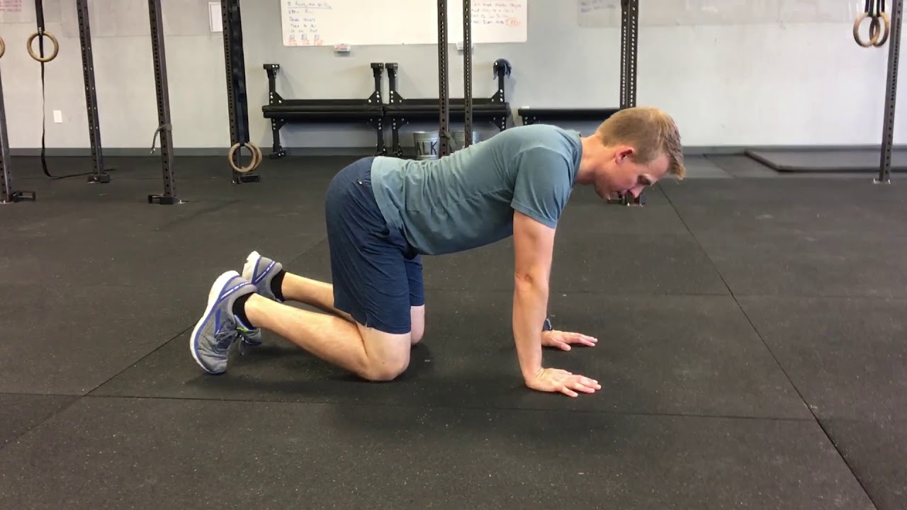 Quadruped Pelvic Tilts - YouTube