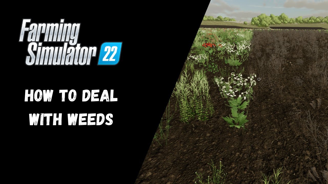 FS22 - How To Deal With Weeds - Farming Simulator 22 - YouTube