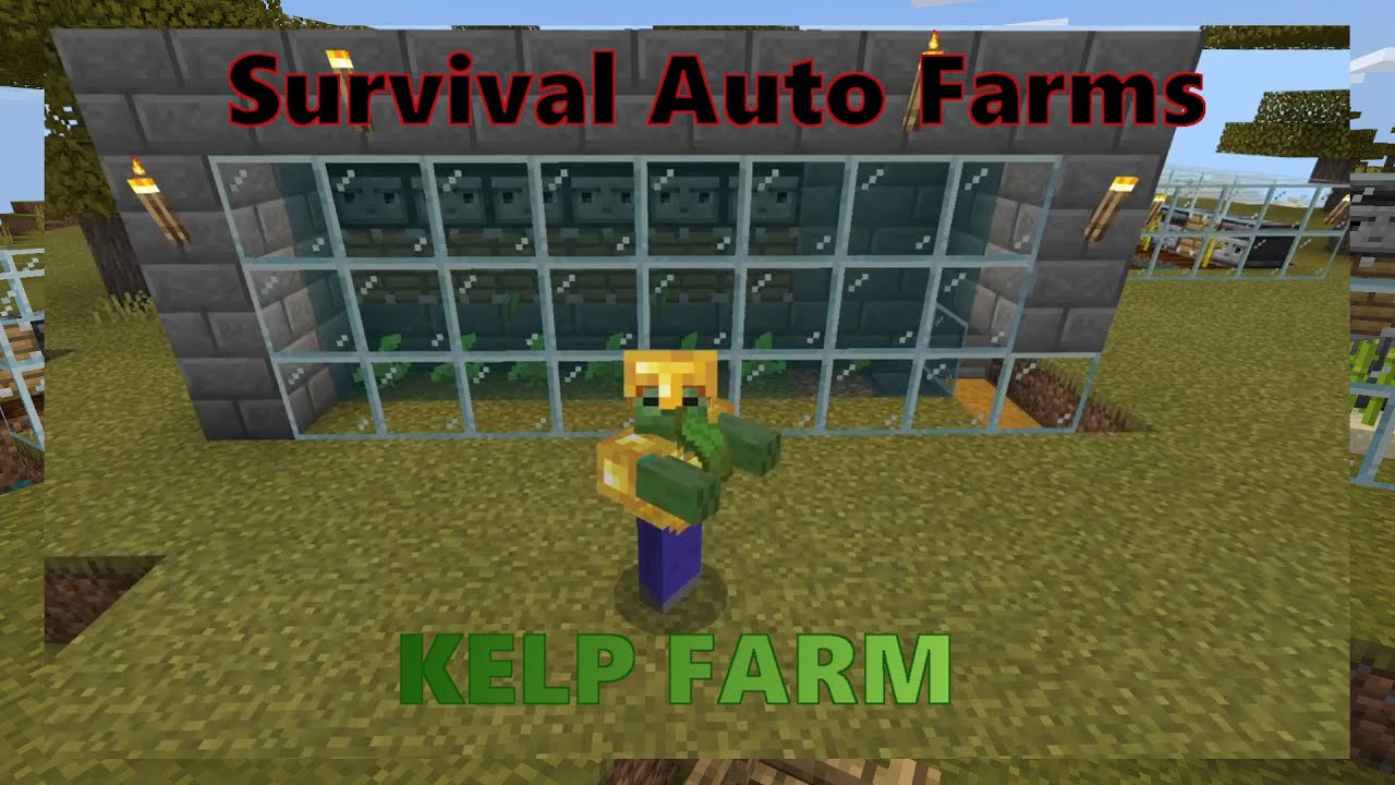 Let's Play Minecraft Survival Bedrock - Auto Kelp Farm - YouTube