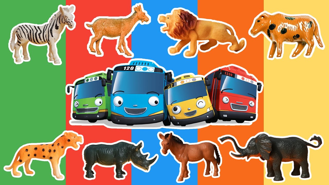Animals with TAYO | Zebra, Red Tayo, Horse, Green Tayo, Tiger, School B ...