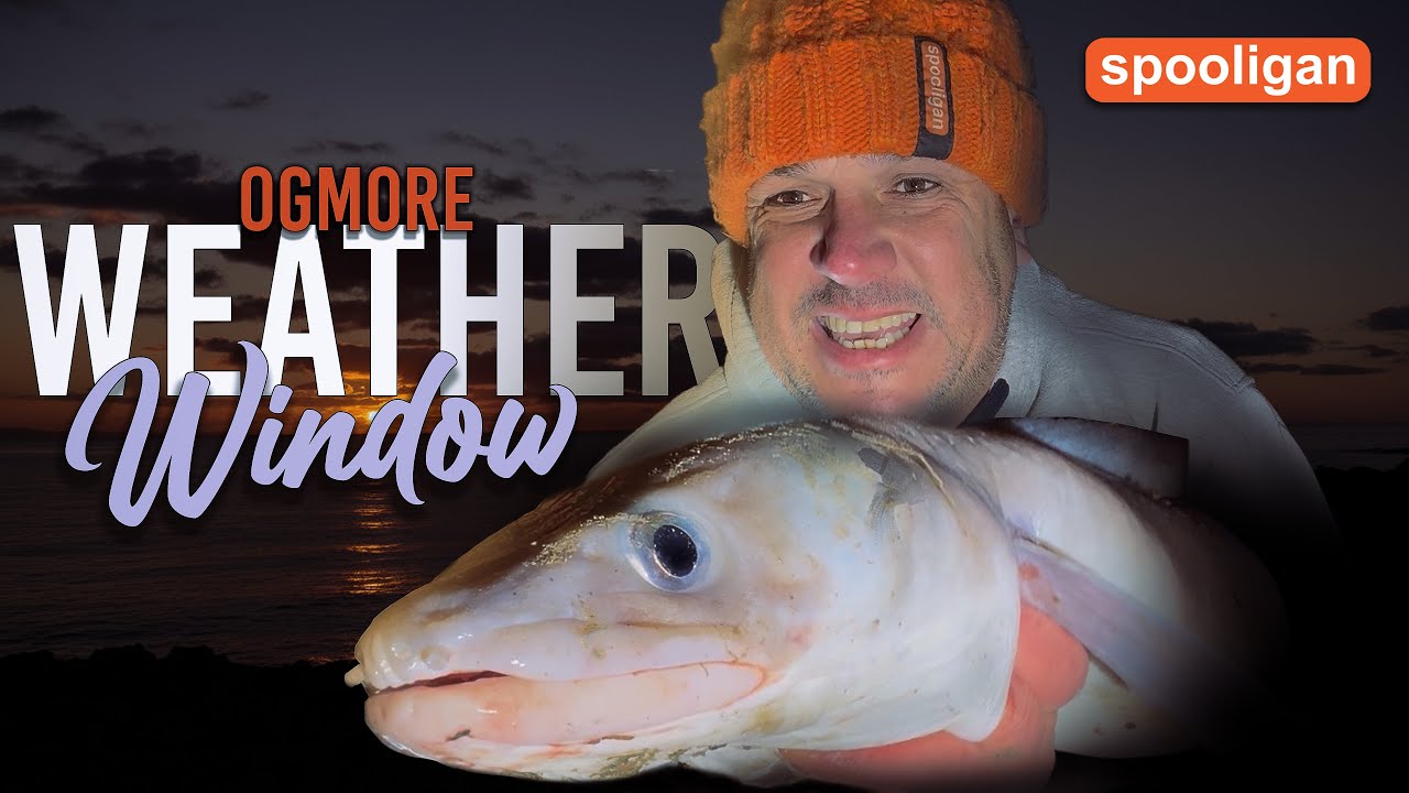 Spooligan Fishing - Ogmore Weather Window - Bristol Channel Ray ...