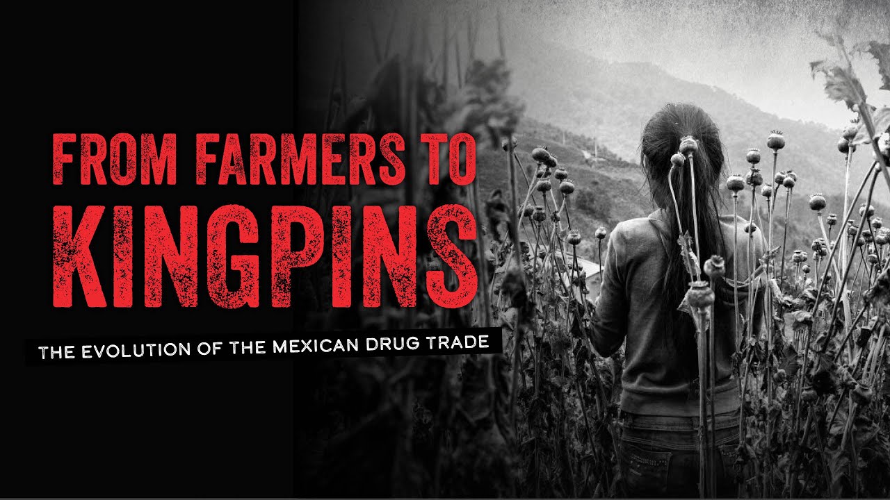From Farmers to Kingpins: The Evolution of the Mexican Drug Trade - YouTube