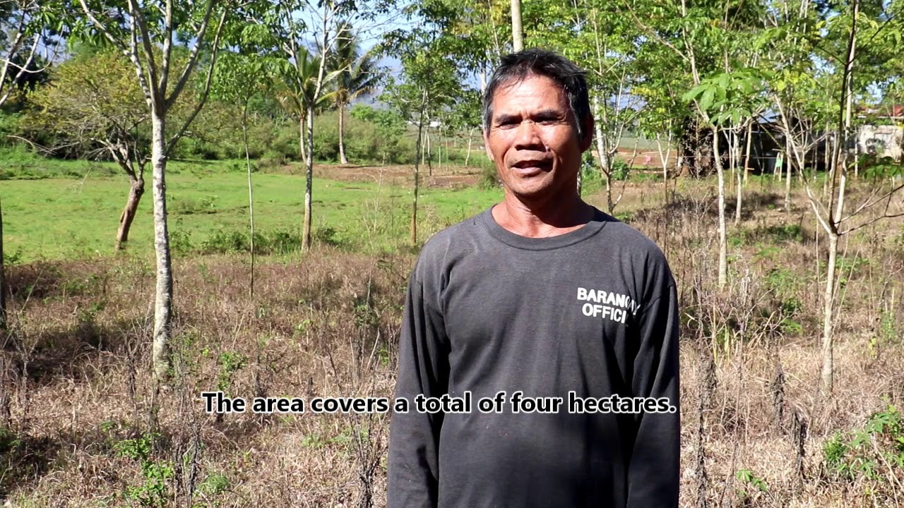 Enhanced National Greening Program (KISFA, Inc.) - YouTube