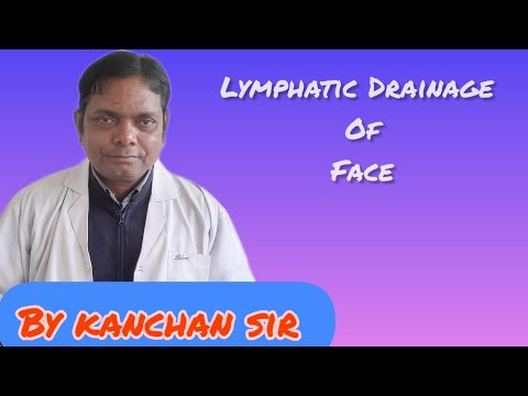 Lymphatic drainage of face //Anatomy lecture of head & neck - YouTube