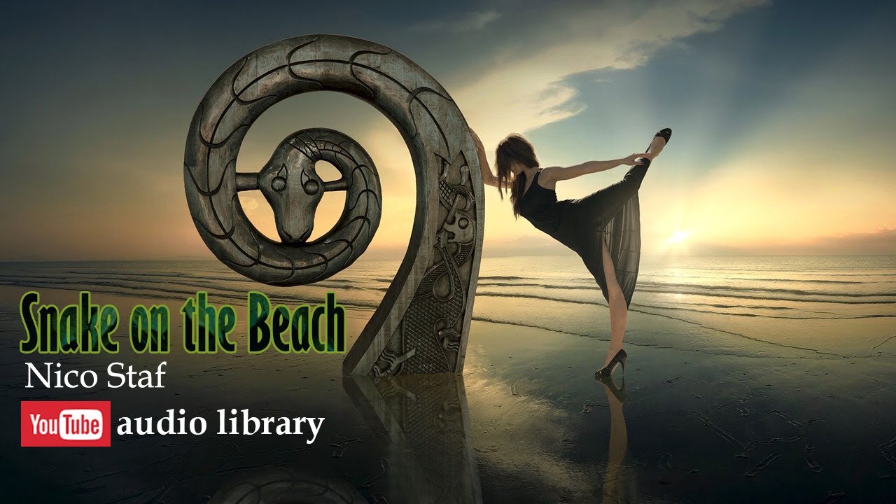 Snake on the Beach - Nico Staf - YouTube Music