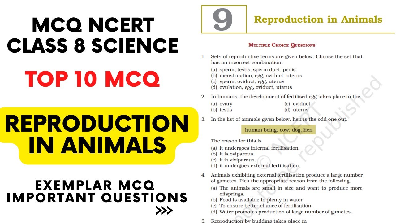 Best Mcq Class 8 Reproduction In Animals Exemplar || Class 8 Science ...