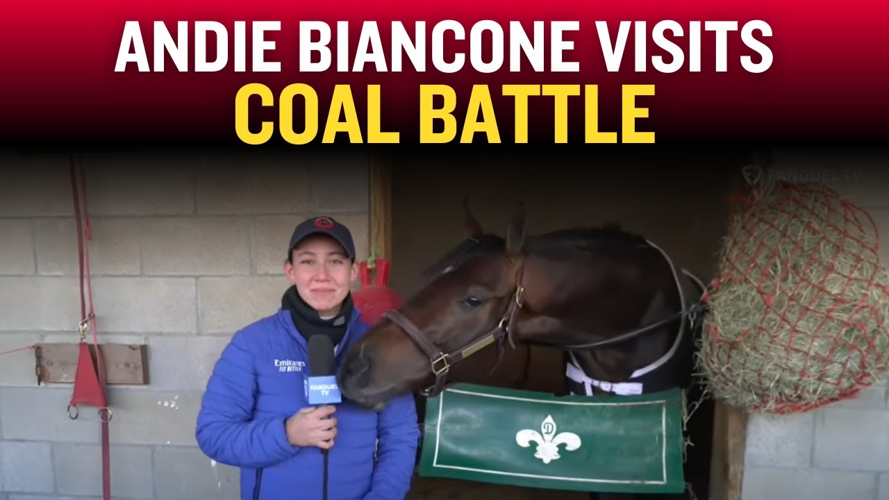 COAL BATTLE the day after his win in the Rebel Stakes (G2) - YouTube