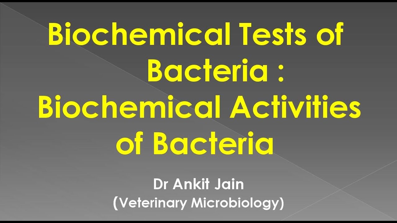 Biochemical Tests of Bacteria : Biochemical Activities of Bacteria ...