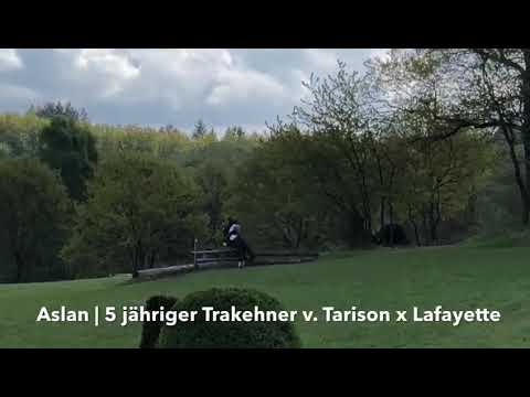 Aslan von Tarison x Lavayette - YouTube