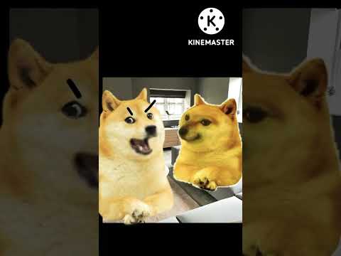 era la favorita de mamá versión cheems créditos a @Rubén Tuesta oficial ...