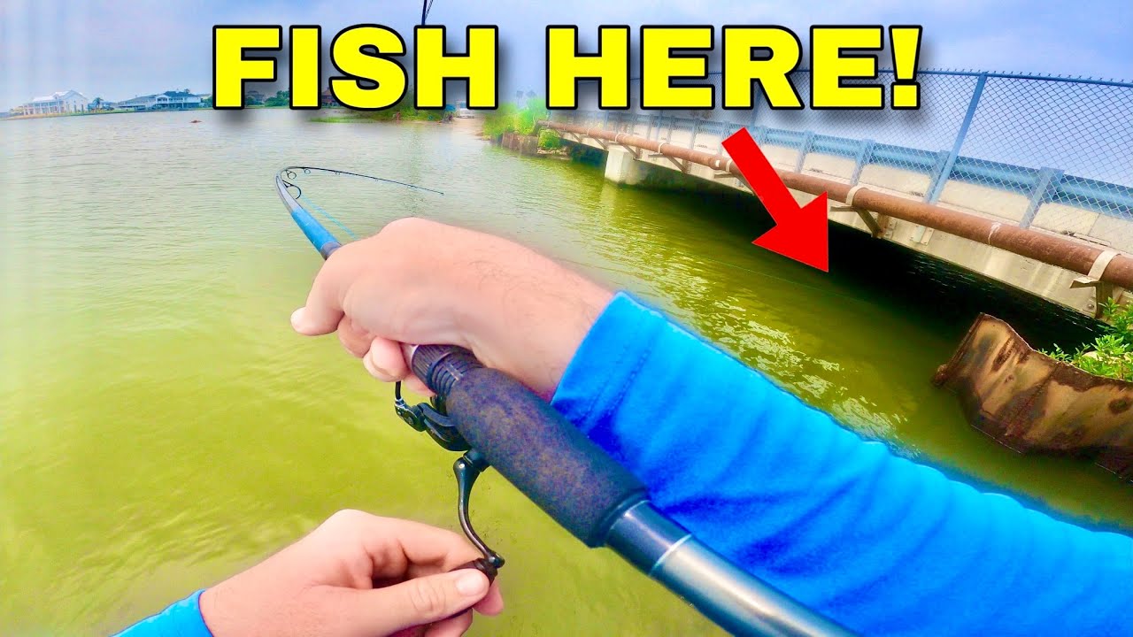 BANK FISHING these POPULAR SPOTS for my DINNER! (Catch, Clean, and Cook ...