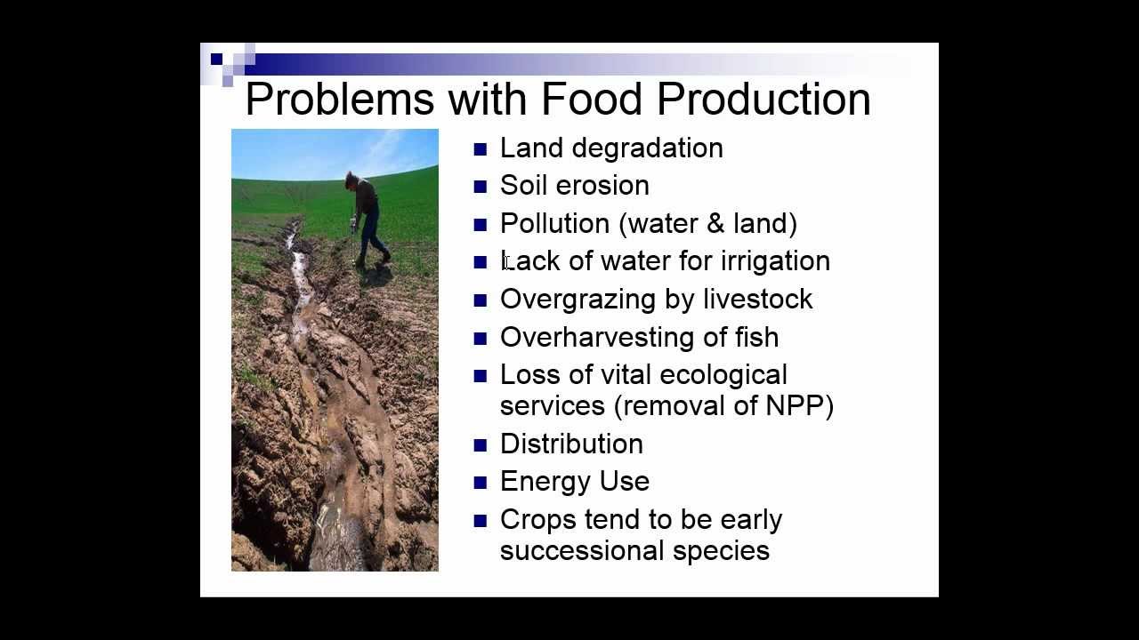 Mr. Walker's APES - Food Production Problems - YouTube