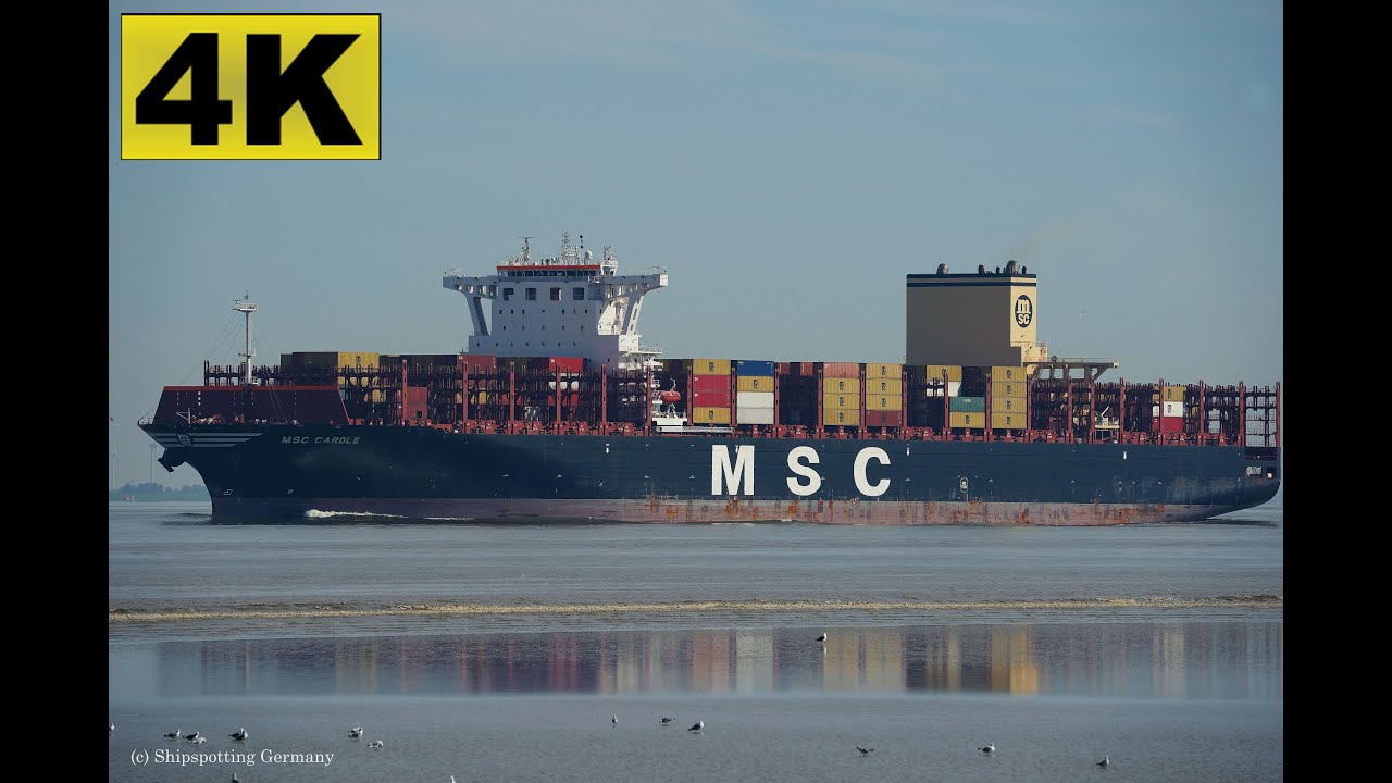MSC CAROLE - Shipspotting Germany 🇩🇪 IMO 9785445 - River Elbe near City ...